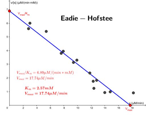 Linealización de Eadie-Hofstee – GeoGebra