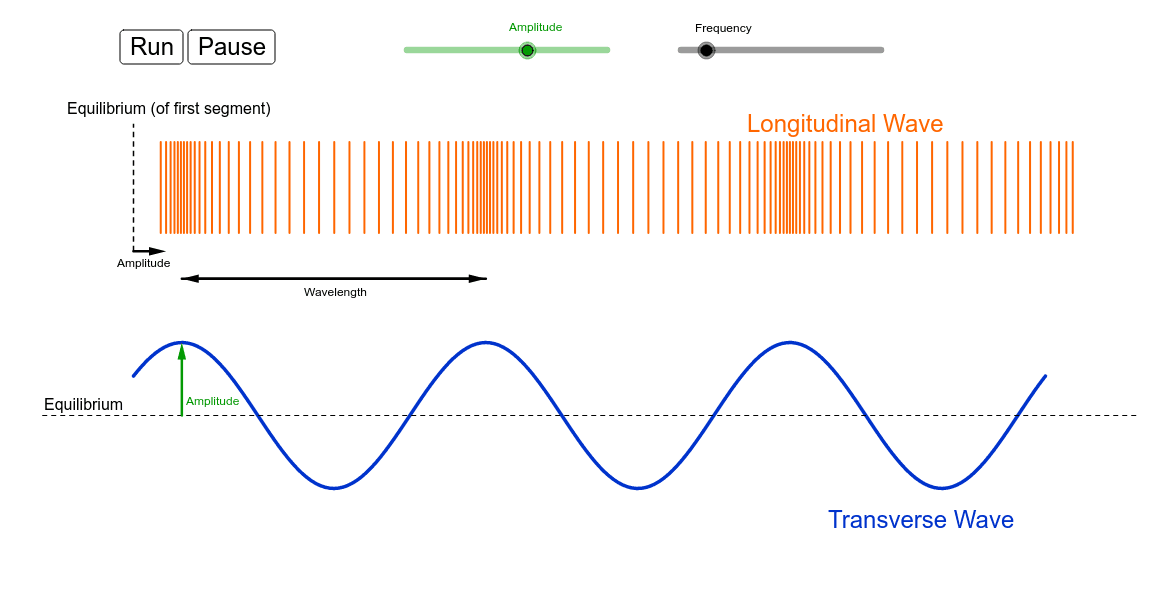 Longitudinal And Transverse Wave Basics GeoGebra