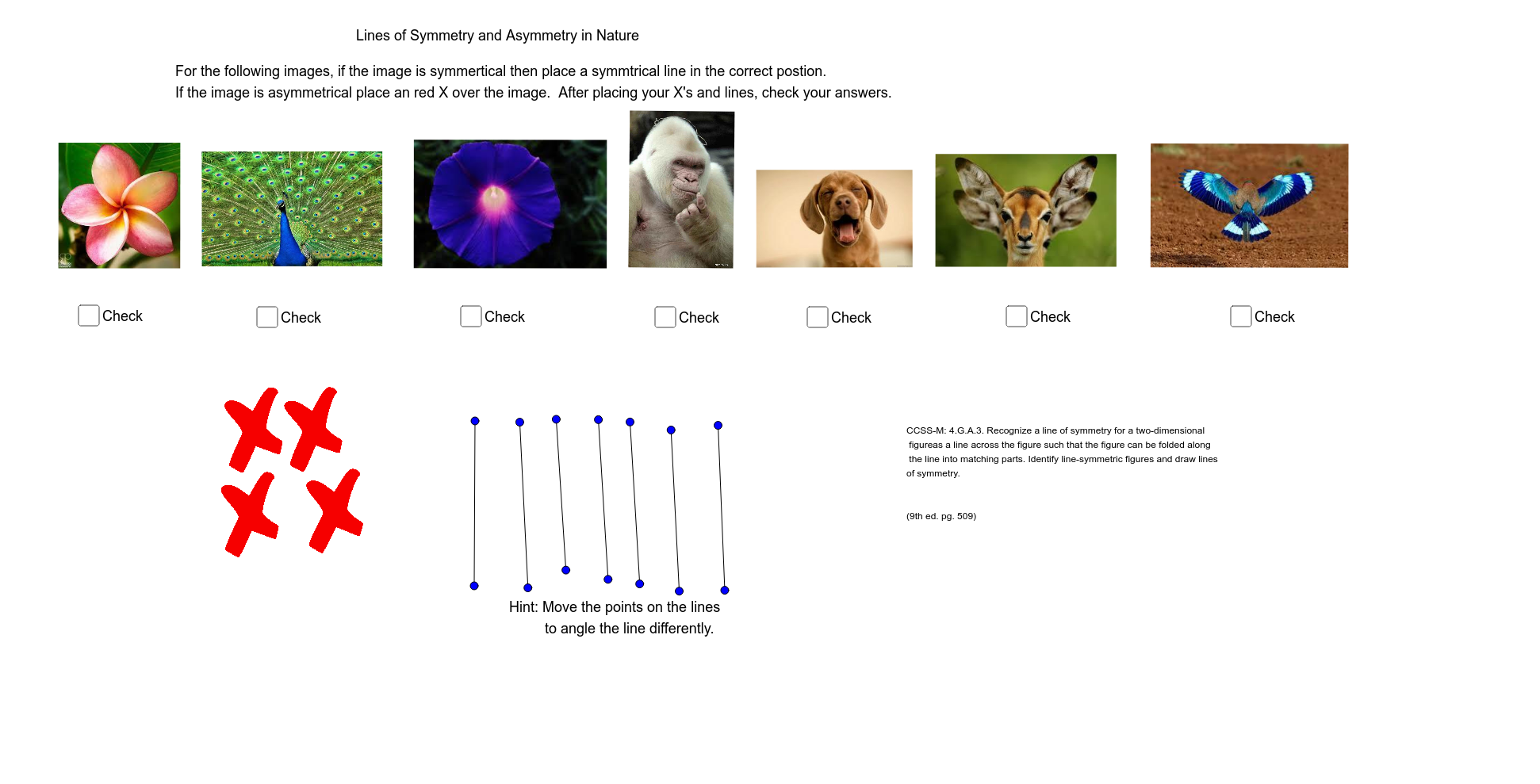 Lines of Symmetry – GeoGebra