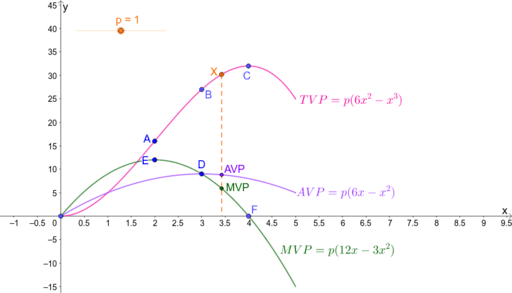 TVP, AVP, MVP – GeoGebra