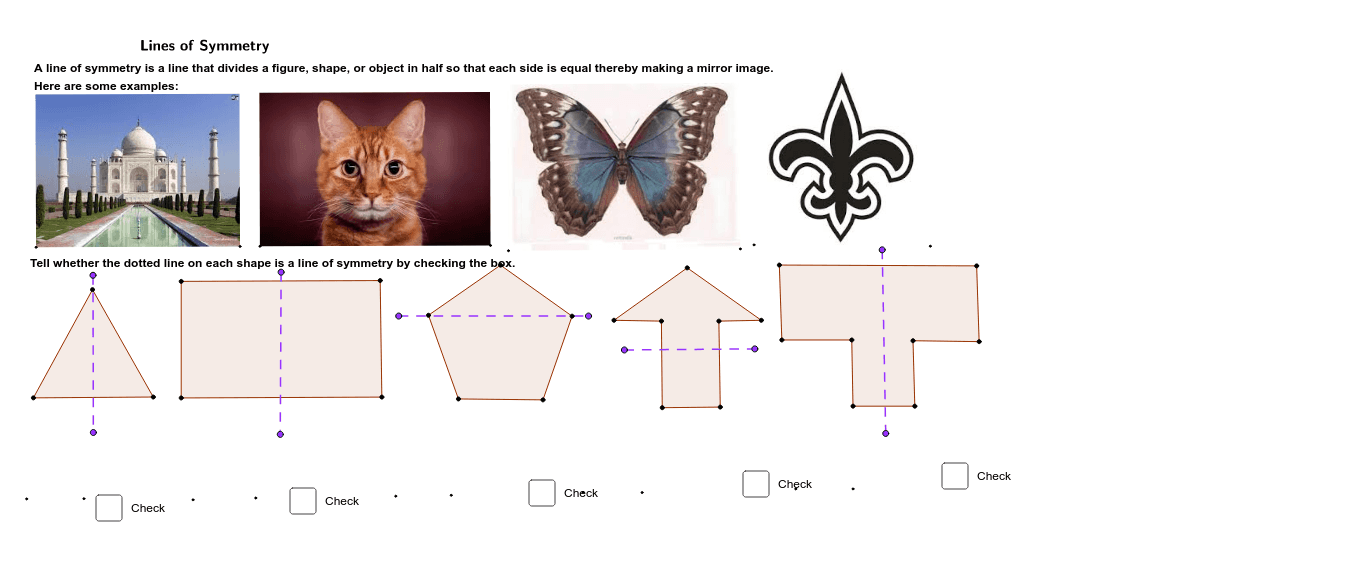 Lines of Symmetry – GeoGebra