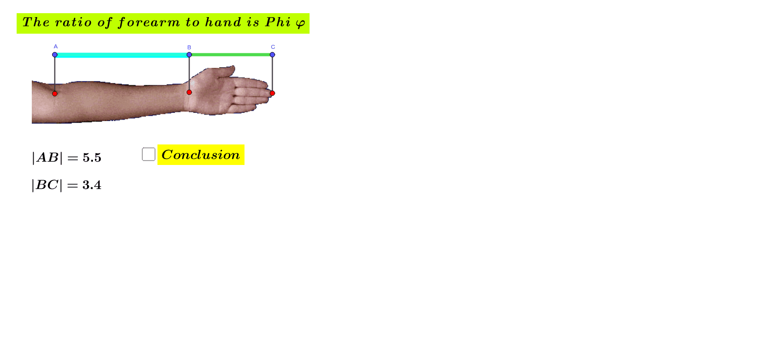 Ratio of forearm to hand – GeoGebra
