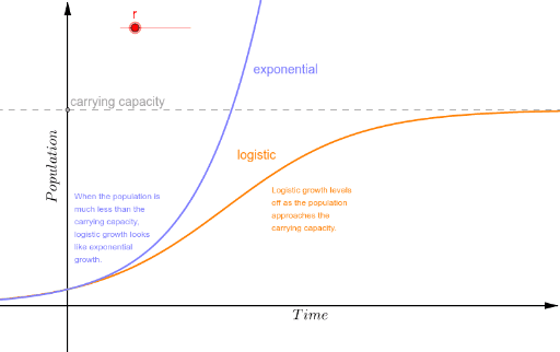 exponential and logistic growth – GeoGebra
