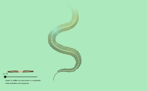 metameria in scheletro di serpente (timbro e fregio p1m1) – GeoGebra