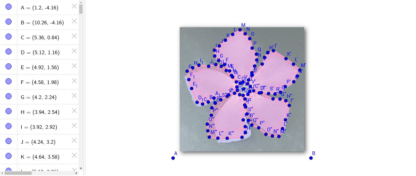 Rotational Symmetry Flower Symmetry Complete Guide For Class 6 Math