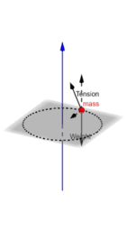 Physics Simulations Collection